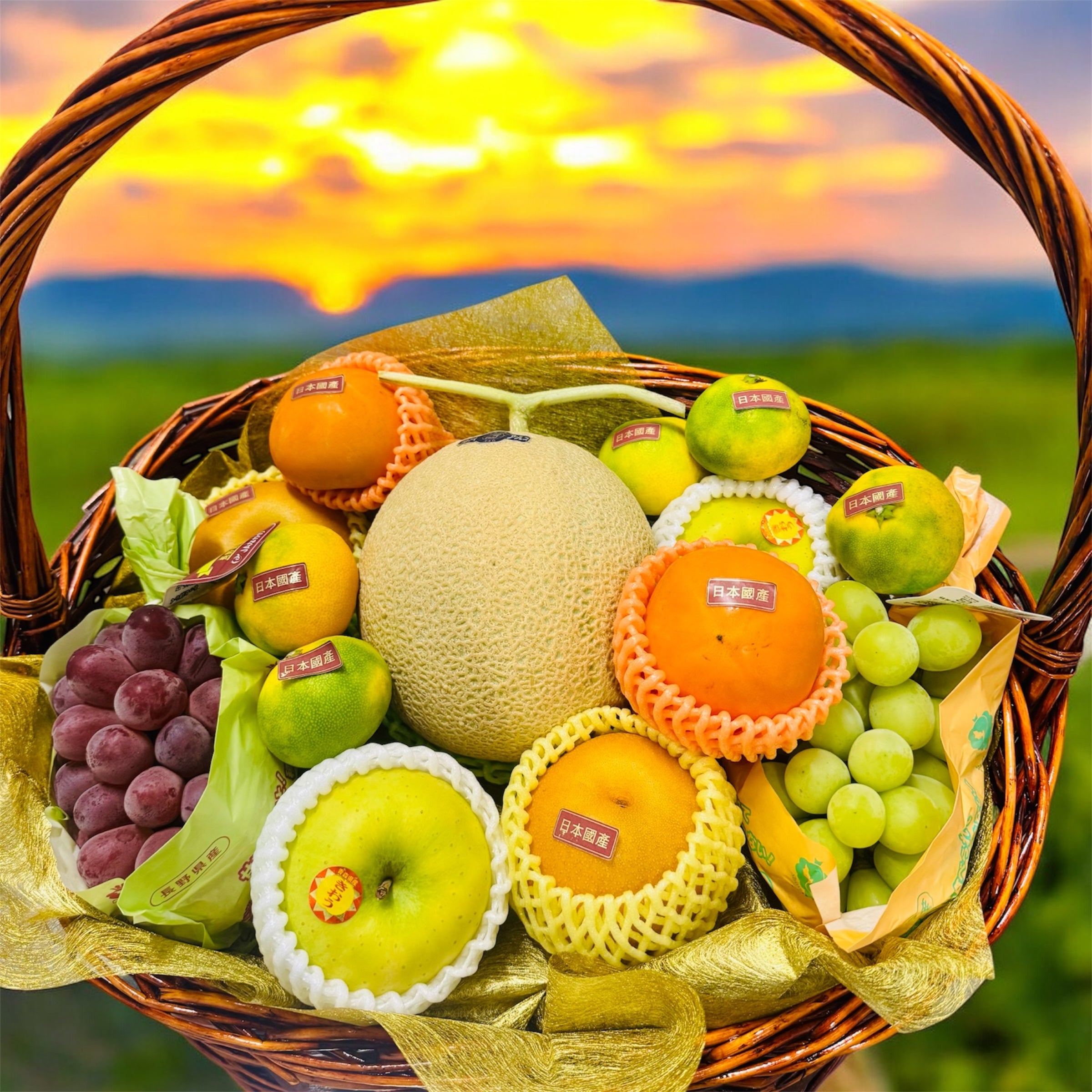 Japanese premium fruits hamper – Happy Fruits (Happy Group Pte Ltd)