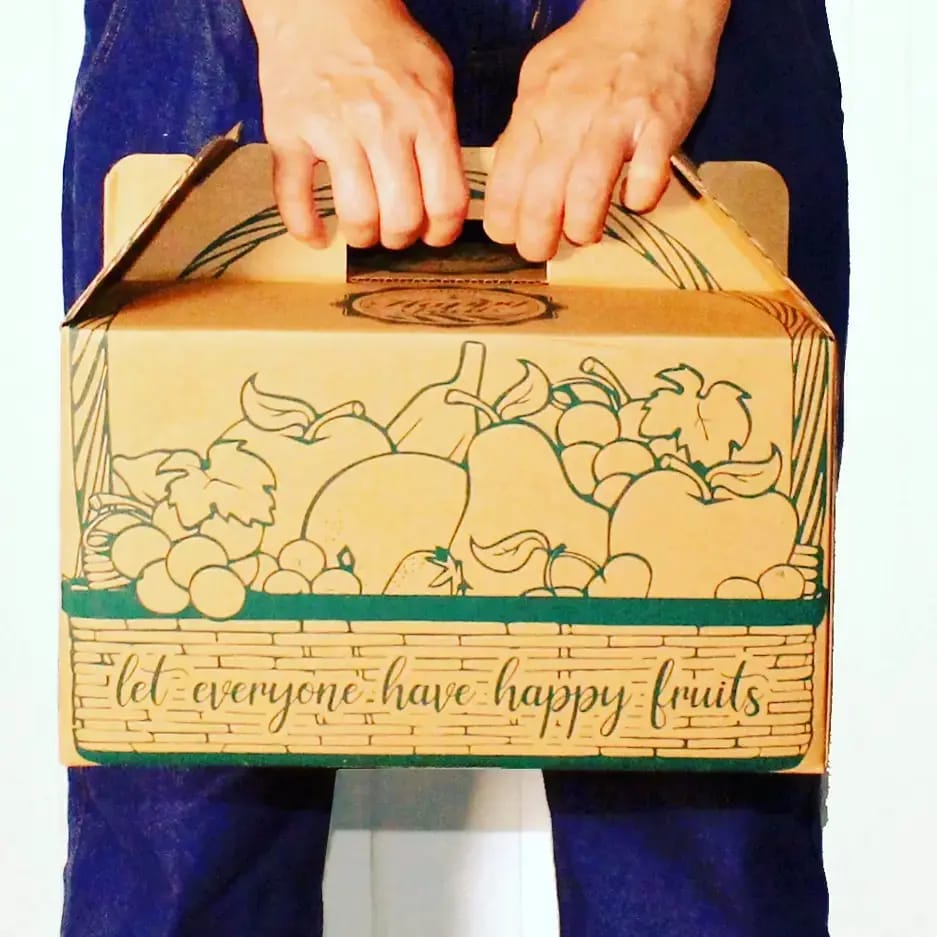 HappyFruits Brown Gift Box – Happy Fruits (Happy Group Pte Ltd)
