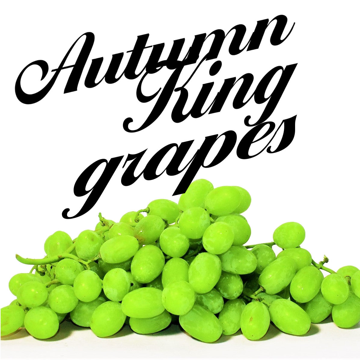 Autumn King Green Grapes – Happy Fruits (Happy Group Pte Ltd)